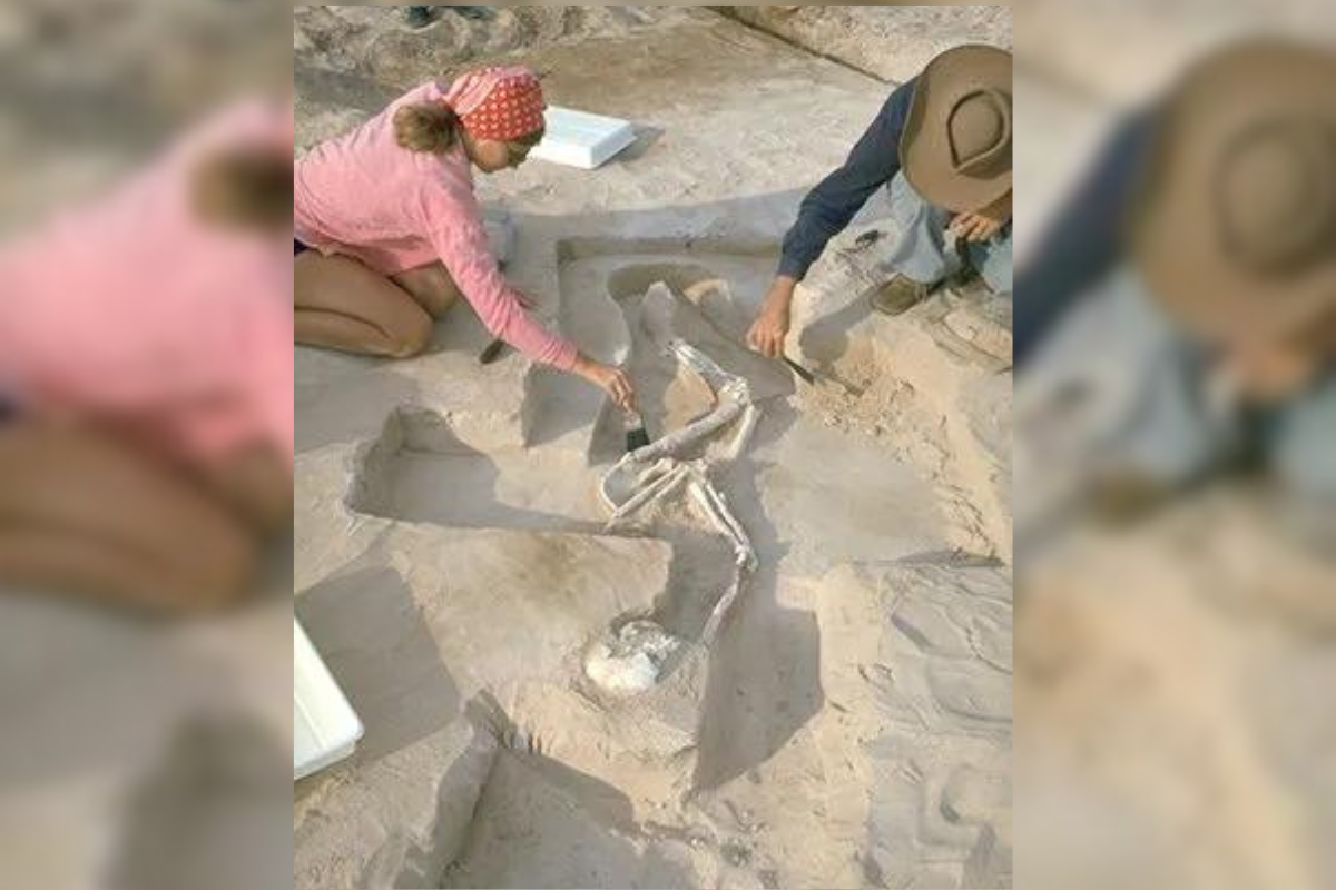 On this day: Mungo Man fossil found - Australian Geographic