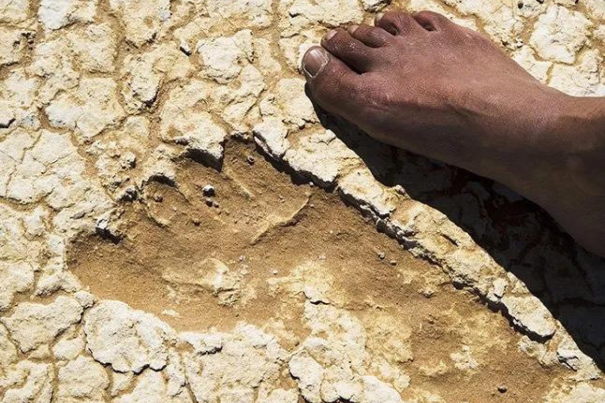 Aboriginal people were definitely first Australians - Australian Geographic