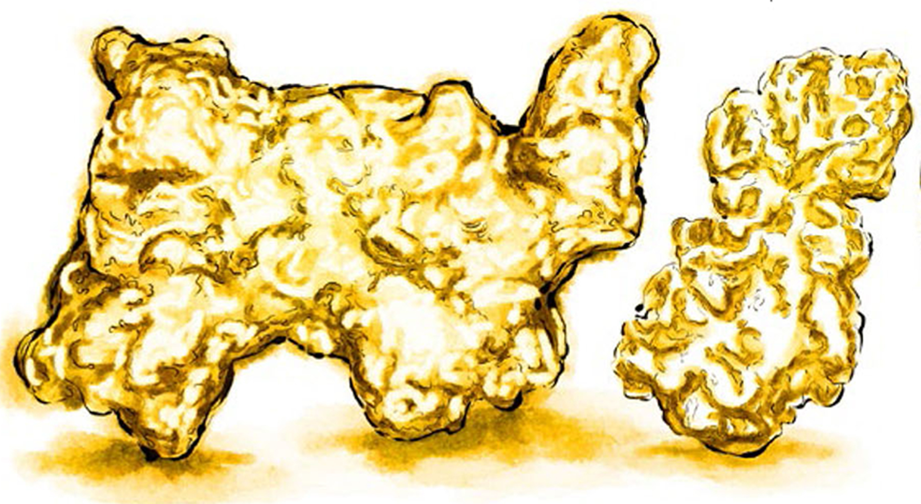 Golden glory: Australia's biggest gold nuggets - Australian Geographic