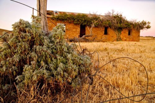 Gallery: Goyder's Line - Australian Geographic