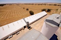 Gallery: Goyder's Line - Australian Geographic