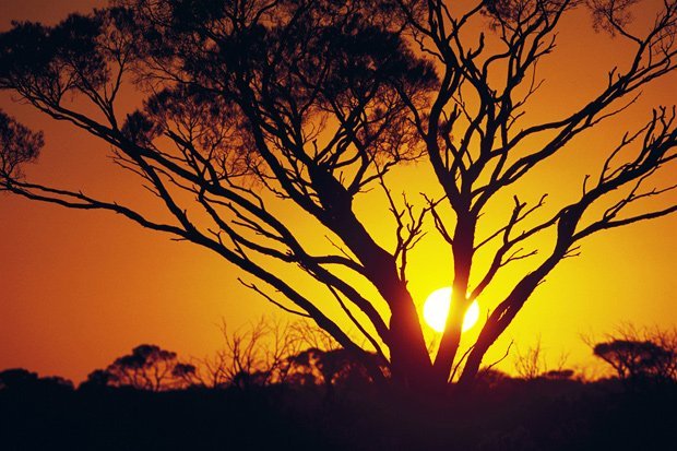 Gallery: The best Aussie outback photography - Australian Geographic