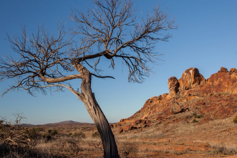 Gallery: Olary Ranges, South Australia - Australian Geographic
