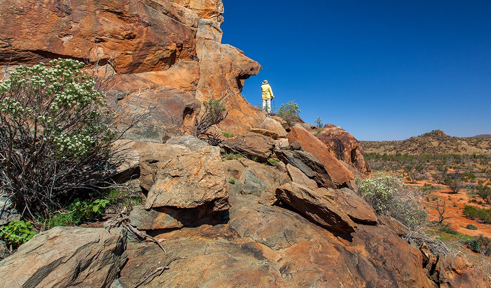 Gallery: Olary Ranges, South Australia - Australian Geographic