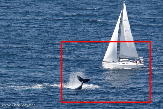 GALLERY: Photography tips with Chris Bray - Australian Geographic