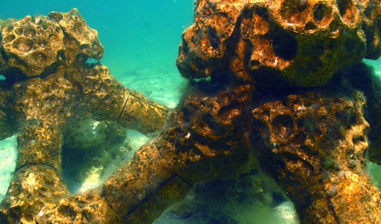 Lego-style designer reef could help save marine life - Australian ...