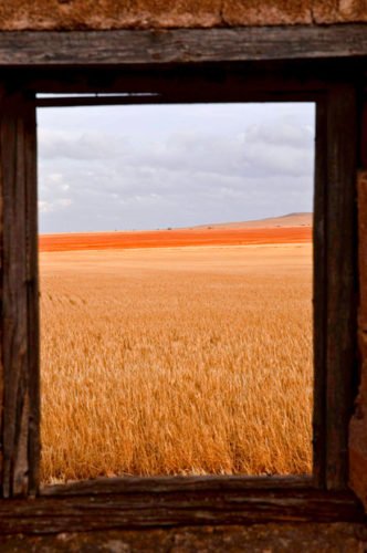 Gallery: Goyder's Line - Australian Geographic