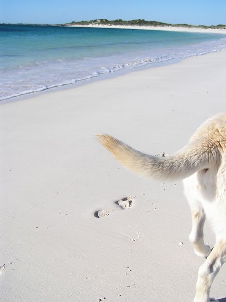 Gallery: Reader Photos Your favourite Aussie beach - Australian Geographic