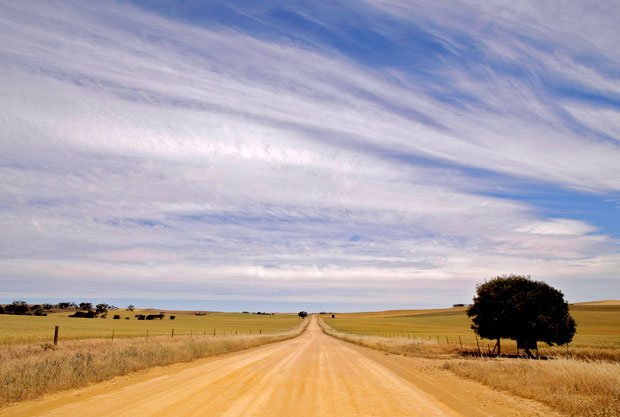 Gallery: Goyder's Line - Australian Geographic