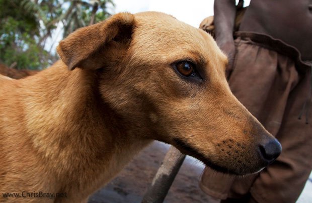GALLERY: Photography tips with Chris Bray - Australian Geographic