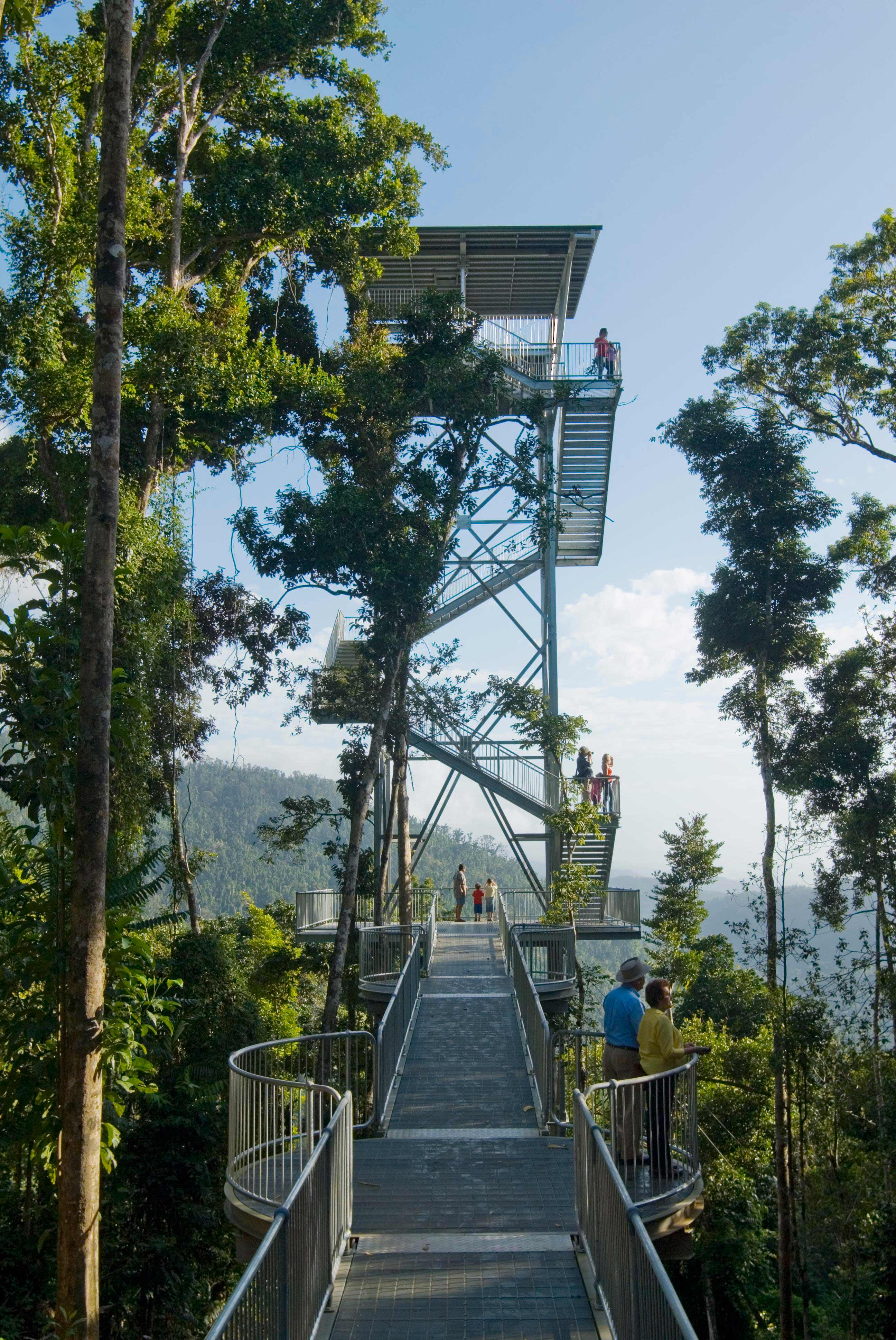 Gallery: Australia's best tree-top walks - Australian Geographic