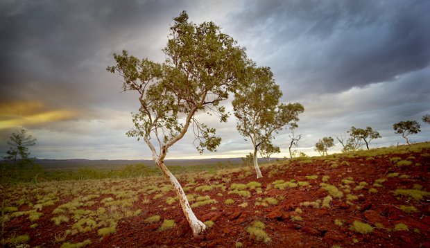 Gallery: Artists Show Spirit of The Outback - Australian Geographic