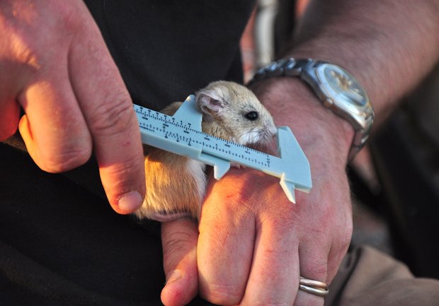 Gallery: Private conservation to protect native species - Australian ...