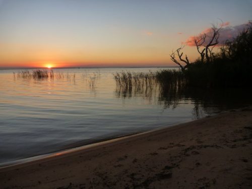Kayaking the Murray River: Source to the sea - Australian Geographic