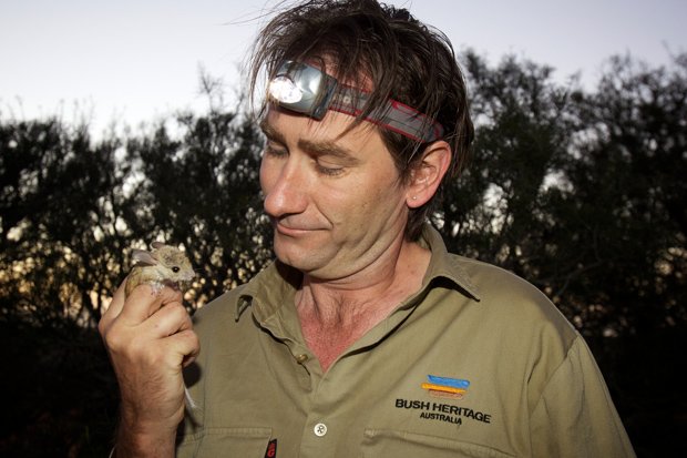 Gallery: Private conservation to protect native species - Australian ...