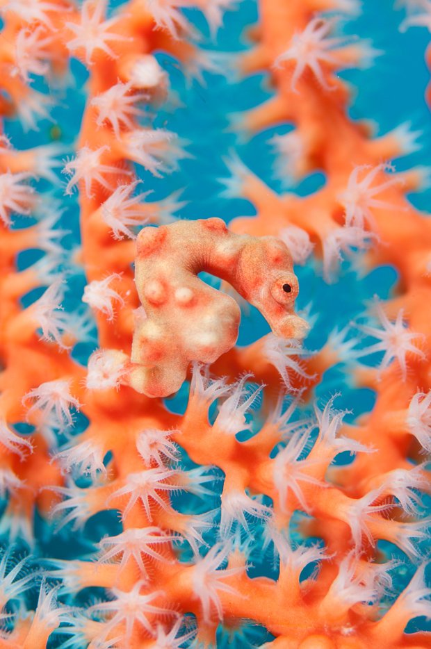 Photo Credit: Richard Smith