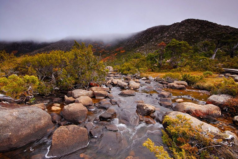 GALLERY: Mount Field, Tasmania - Australian Geographic