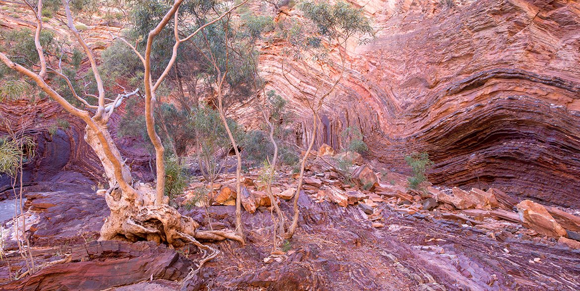 Gallery: The Pilbara landscape of stone-etched stories - Australian ...