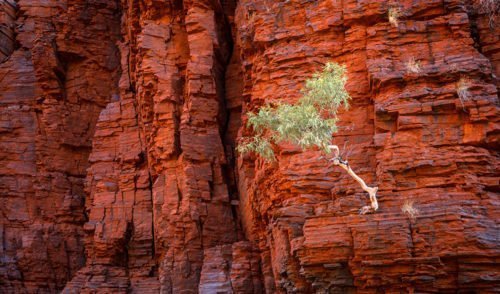 Gallery: The Pilbara landscape of stone-etched stories - Australian ...