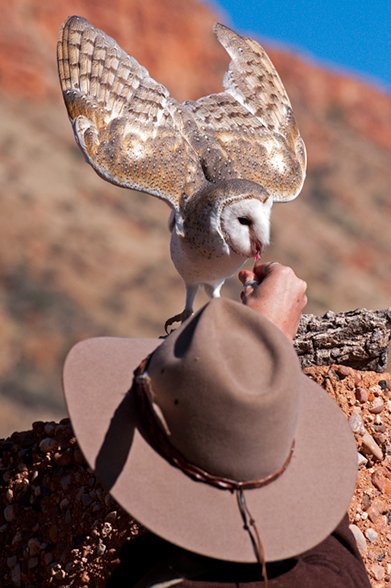 Gallery: Alice Springs places and faces - Australian Geographic