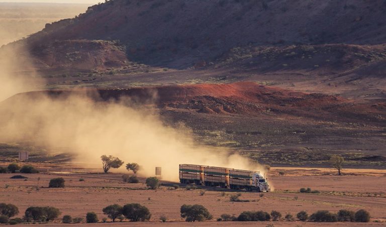 GALLERY: Pullen Pullen Reserve, QLD - Australian Geographic