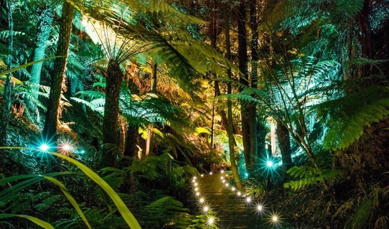 Gallery: Australia's top 10 botanic gardens - Australian Geographic