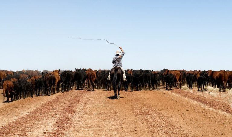 Drovers of the Australian outback - Australian Geographic