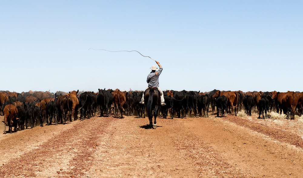 Drovers of the Australian outback - Australian Geographic