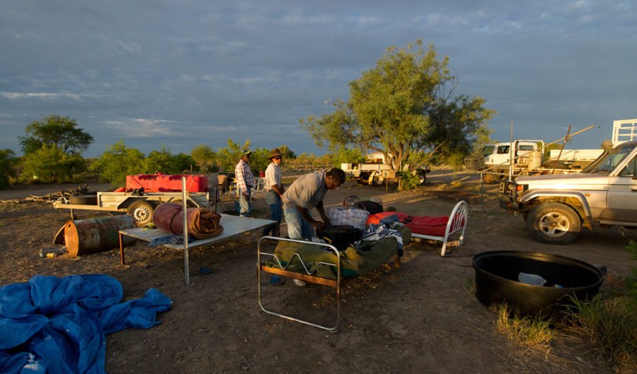 Drovers of the Australian outback - Australian Geographic