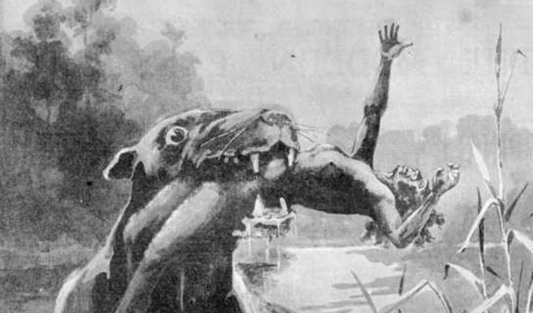 Australia's mythical creatures - Australian Geographic