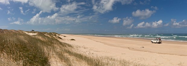 Gallery: Fraser Island, Queensland - Australian Geographic
