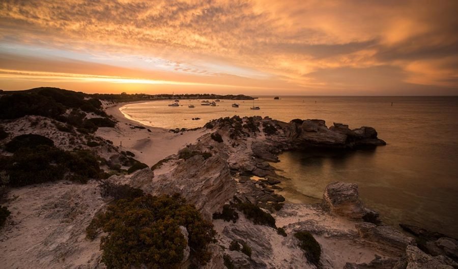Gallery: Rottnest Island - Australian Geographic
