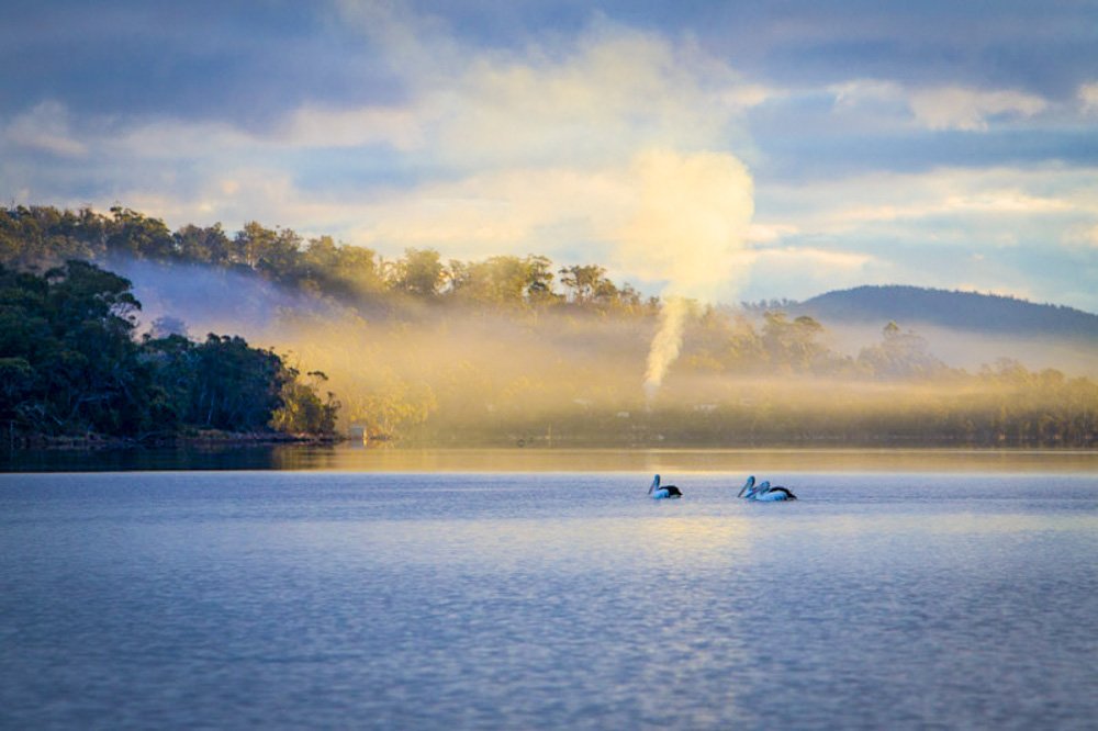 Gallery: Tasman Coastal Trail - Australian Geographic