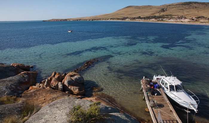GALLERY: The secret scenes of the Bass Strait - Australian Geographic