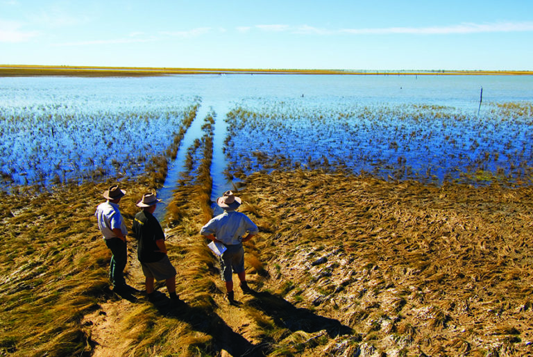Gallery: Canning Stock Route - Australian Geographic
