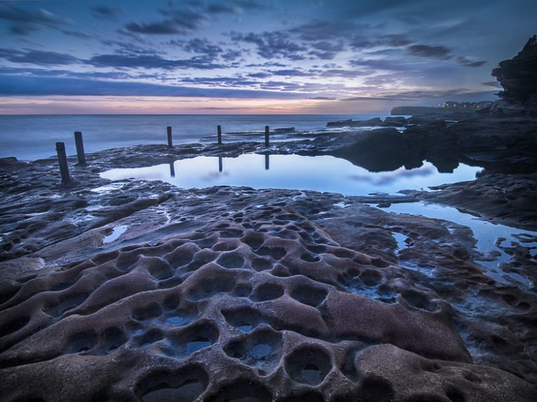 Gallery: Rock pools of Sydney - Australian Geographic