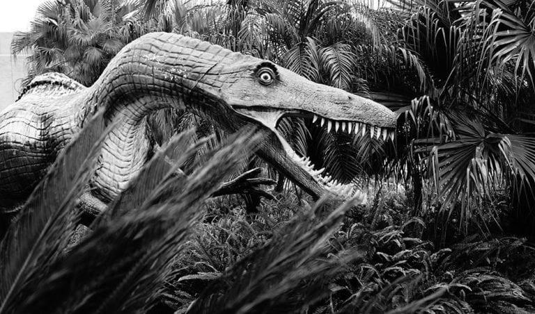 Uncovering dinosaurs in China - Australian Geographic