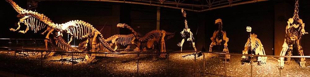 Uncovering dinosaurs in China - Australian Geographic