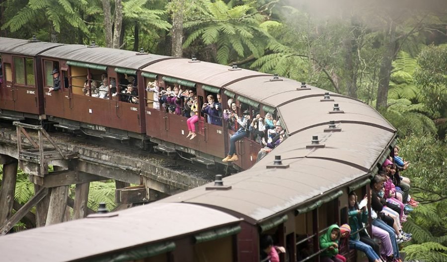 Dandenong Ranges: Victoria's nature haven - Australian Geographic