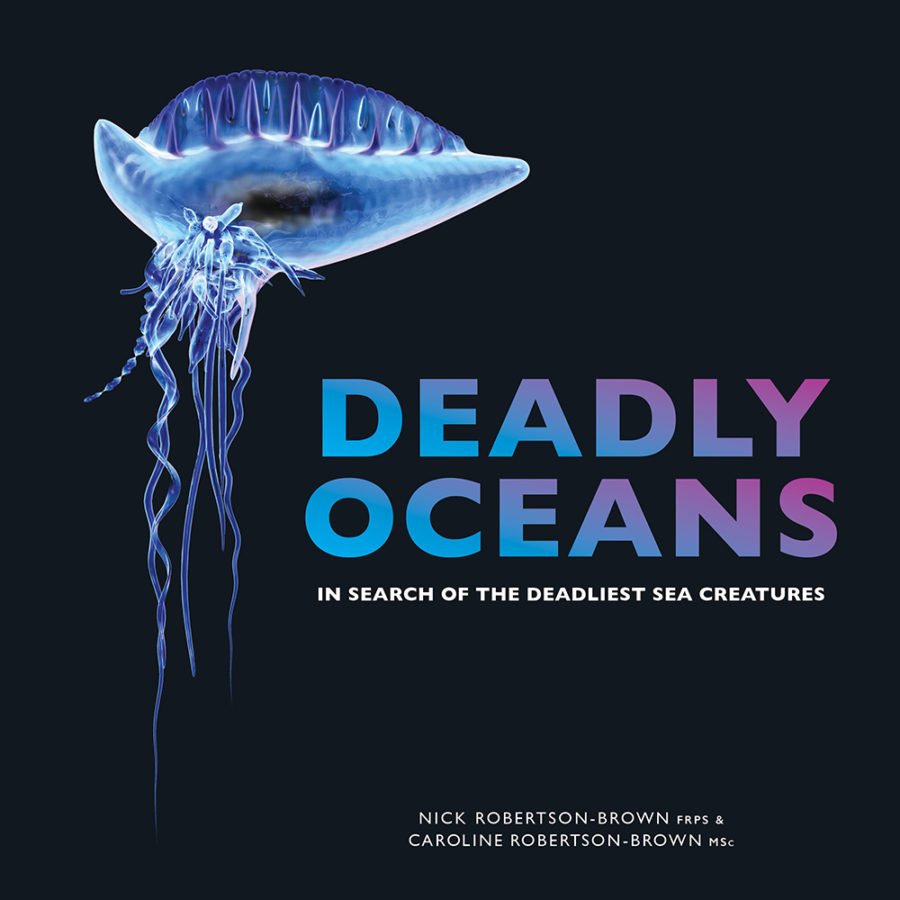 GALLERY: Deadly Oceans - Australian Geographic