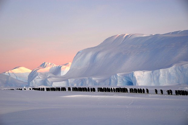 Gallery: Awards for best science and nature photos - Australian Geographic