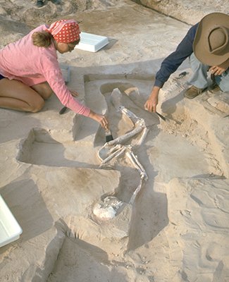 On this day: Mungo Man fossil found - Australian Geographic