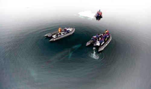 Antarctica: The final frontier - Australian Geographic