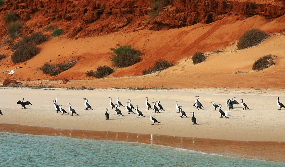 GALLERY: 10 top remote national parks - Australian Geographic