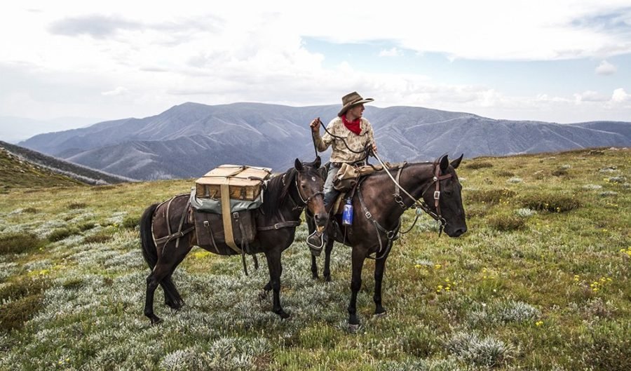 Horse treks in the Victorian High Country: retracing stock routes ...