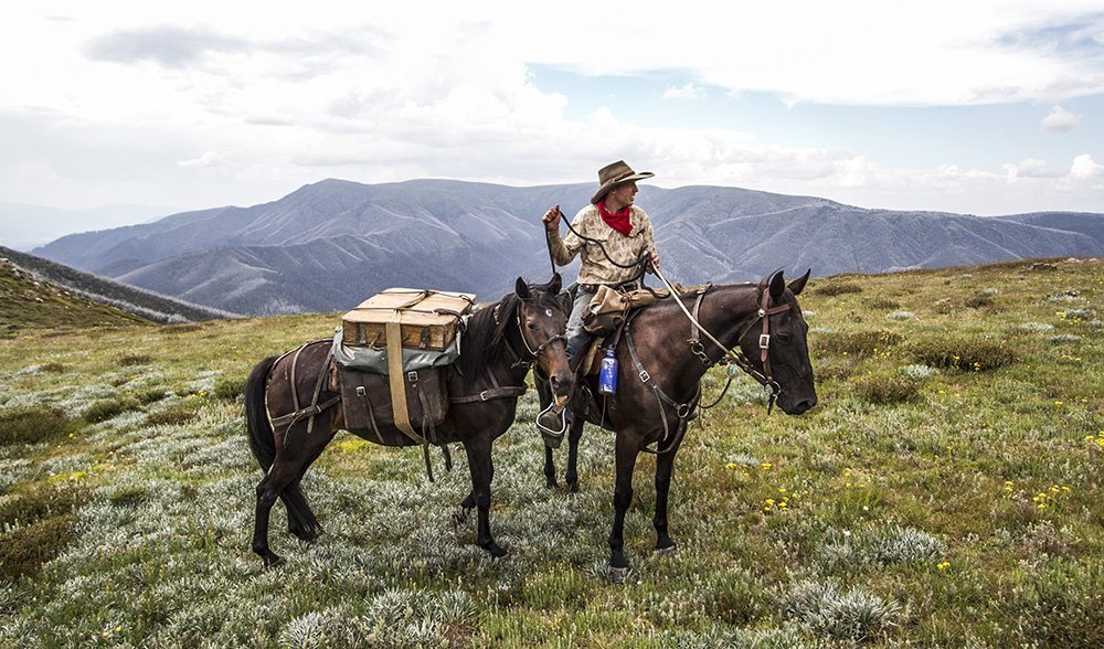 Horse treks in the Victorian High Country: retracing stock routes ...