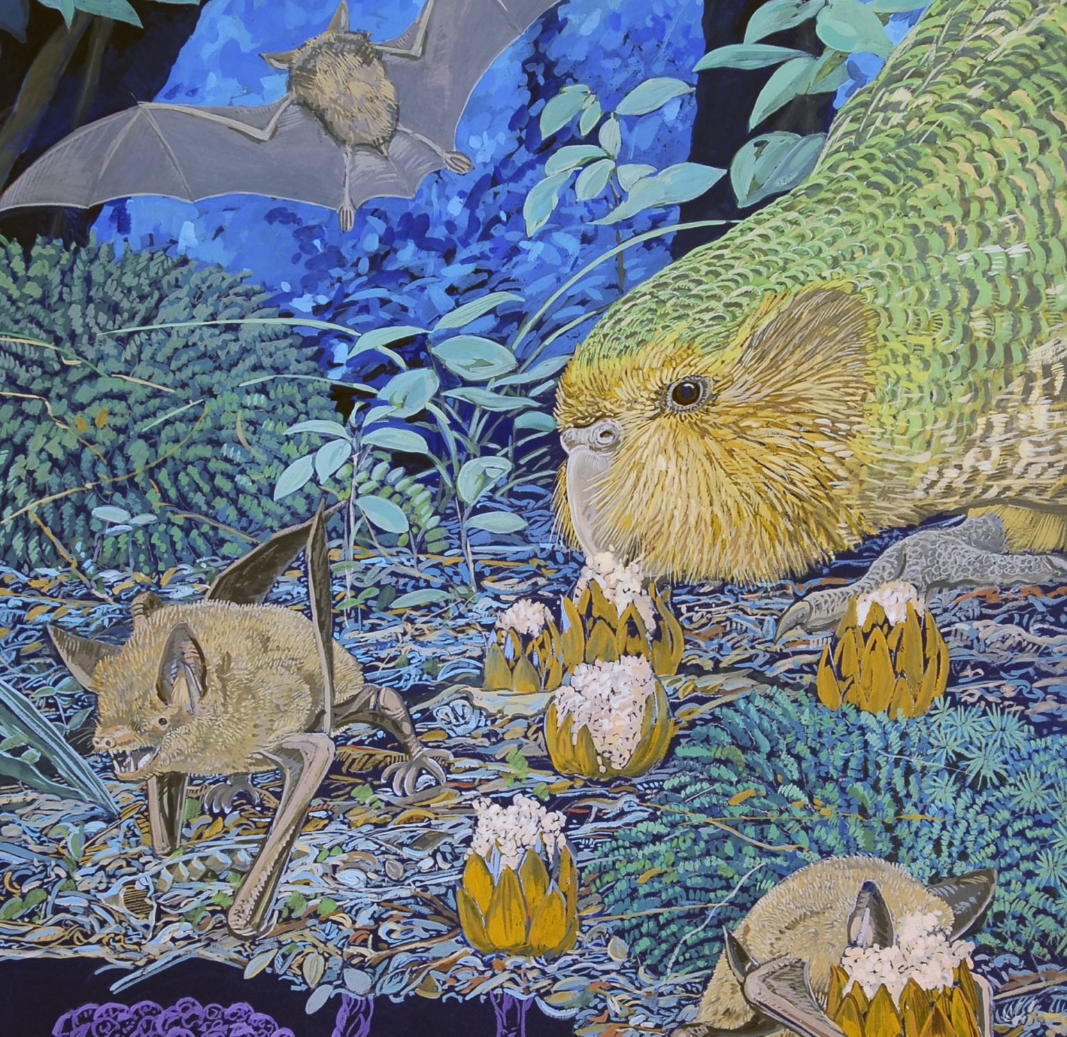 The parrot, the poo and the parasitic flower - Australian Geographic