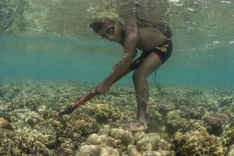 GALLERY: Kimbe Bay, Papua New Guinea - Australian Geographic