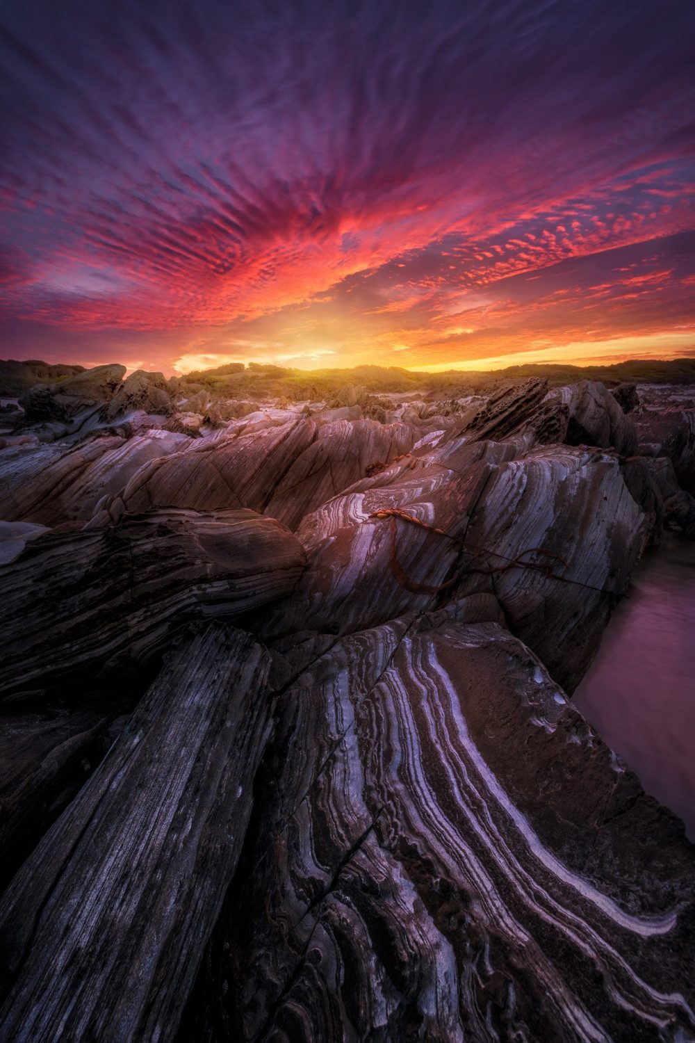 GALLERY: Stunning Tasmanian wilderness photography - Australian Geographic