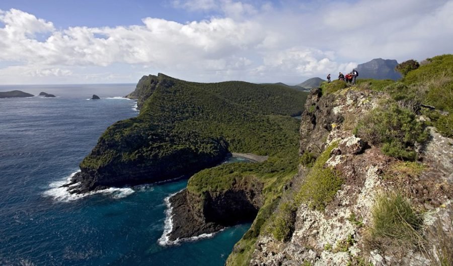 Lord Howe Island: nature haven - Australian Geographic